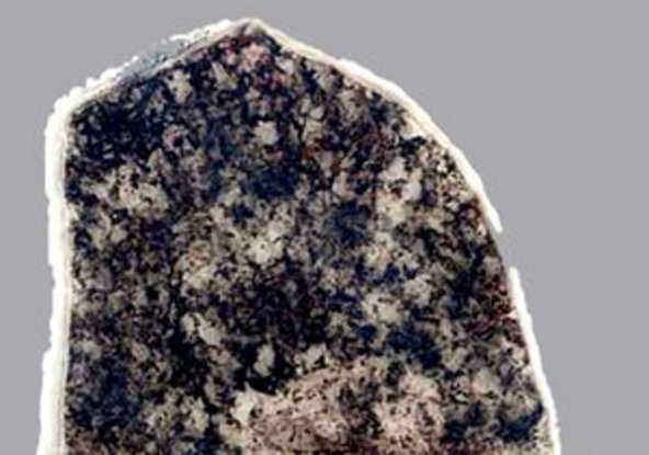 This Bacteria Hasn't Evolved in More Than Two Billion Years : ScienceAlert