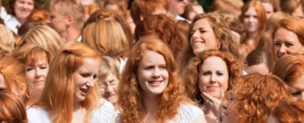 WATCH: The Science of Red-Heads : ScienceAlert