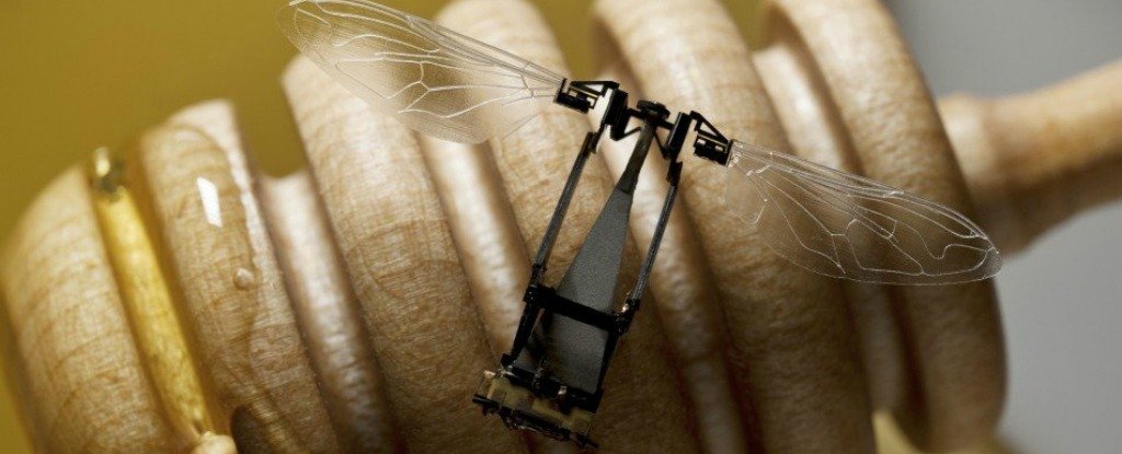 Scientists Have Invented a Tiny Flying Robot That Can Perch to Save ...