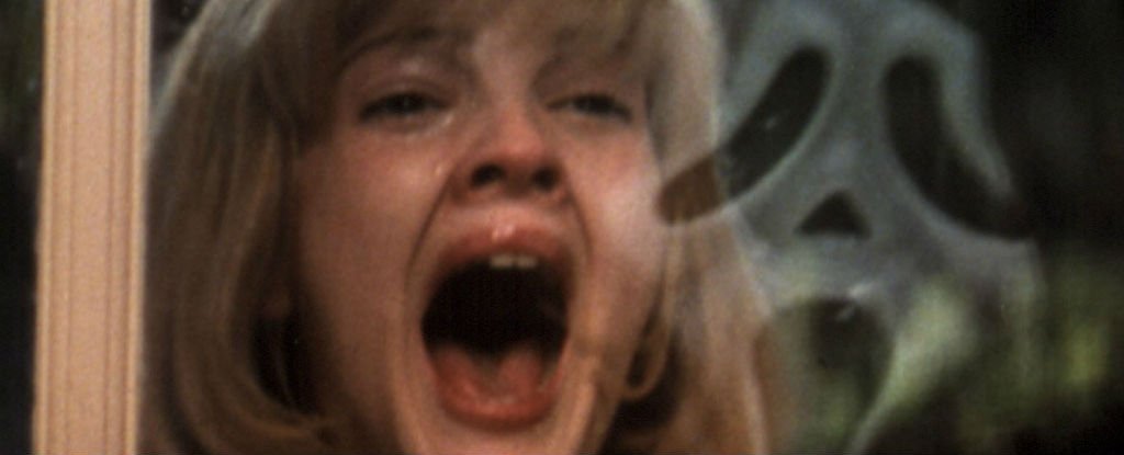 Watch: Here's What Happens When You're About to Die : ScienceAlert