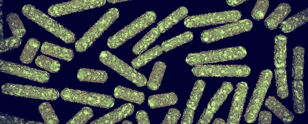 Scientists Have Figured Out How to Use Bacteria as Living Hard Drives ...