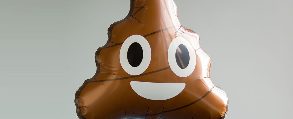 Scientists Have Determined The Exact Composition of Your Poo : ScienceAlert