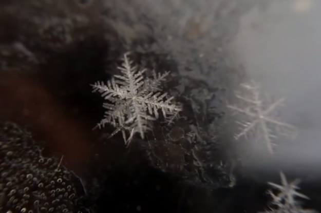 WATCH: Beautiful Reverse Snowflake Formation : ScienceAlert