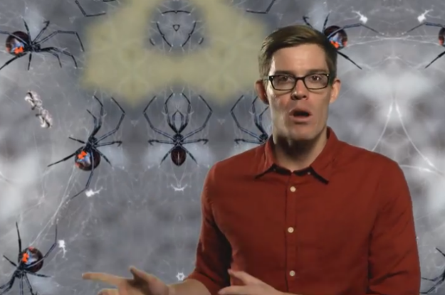 WATCH: Why I'm Scared of Spiders : ScienceAlert