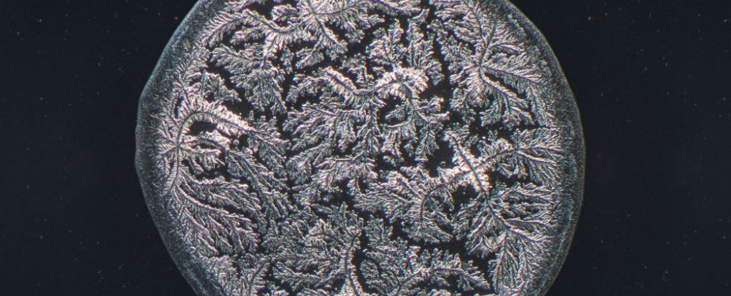 These Images Show Just How Unique Your Tears Are : ScienceAlert