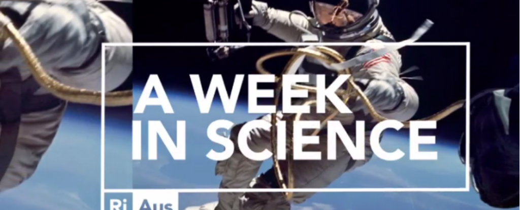 WATCH: The Top 5 Science Stories of 2014 : ScienceAlert