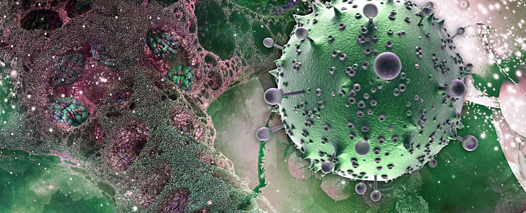 Viruses Have Evolved to Be More Deadly For Men Than Women, Study ...