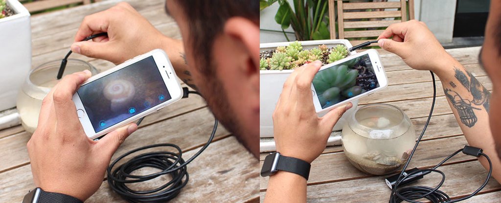 ScienceAlert Deal: See Into Tight Spaces With This WiFi Endoscopic ...