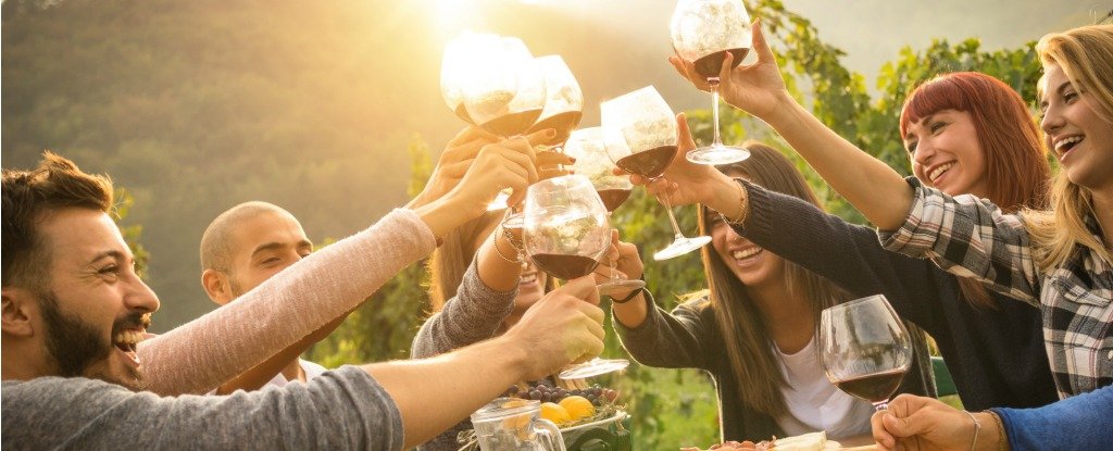 Regular Alcohol Drinkers Have a Lower Risk of Diabetes : ScienceAlert