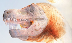 T-rex killed by bird disease